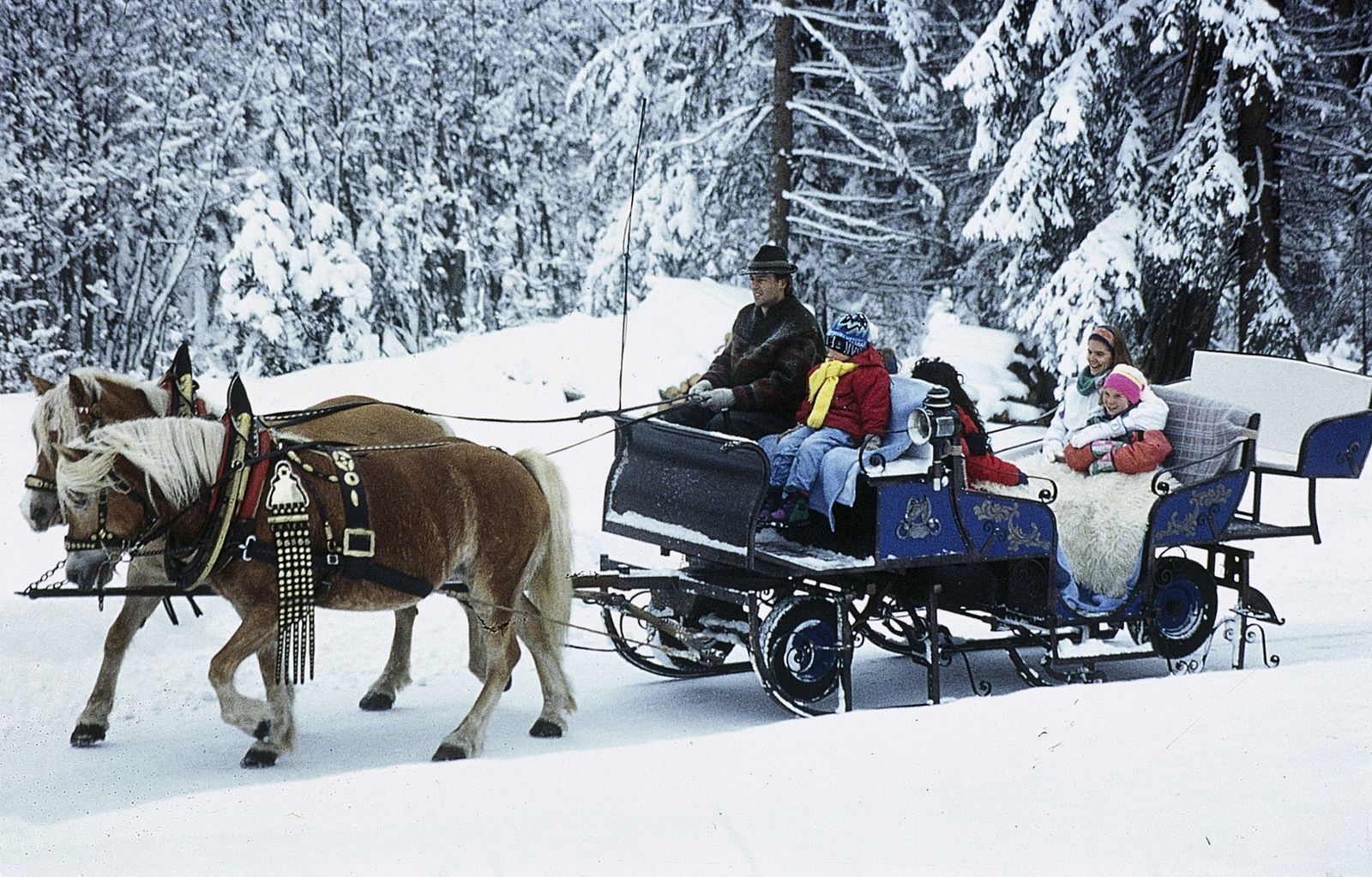 horse sledding in Mont Tremblant | winter activities in Tremblant